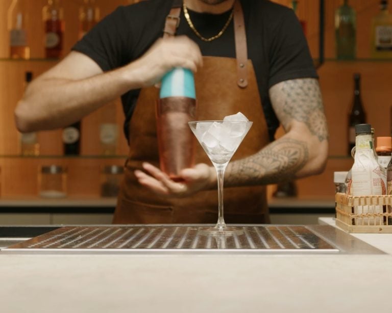 Different Types of Cocktail Shakers