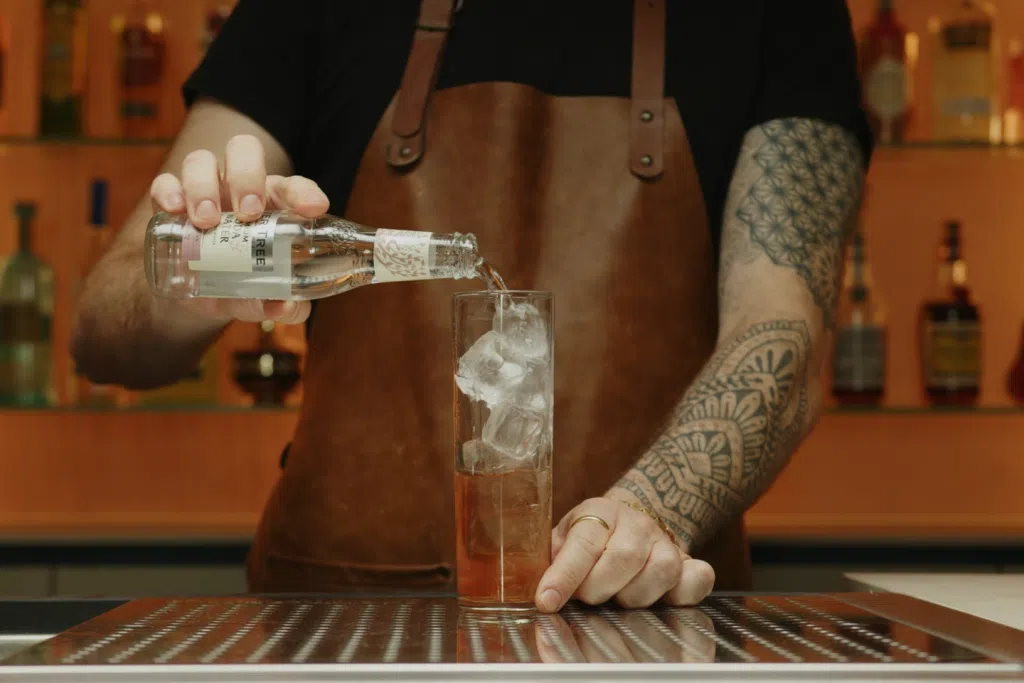 What is a Highball? – A Simple Classic with Endless Possibilities