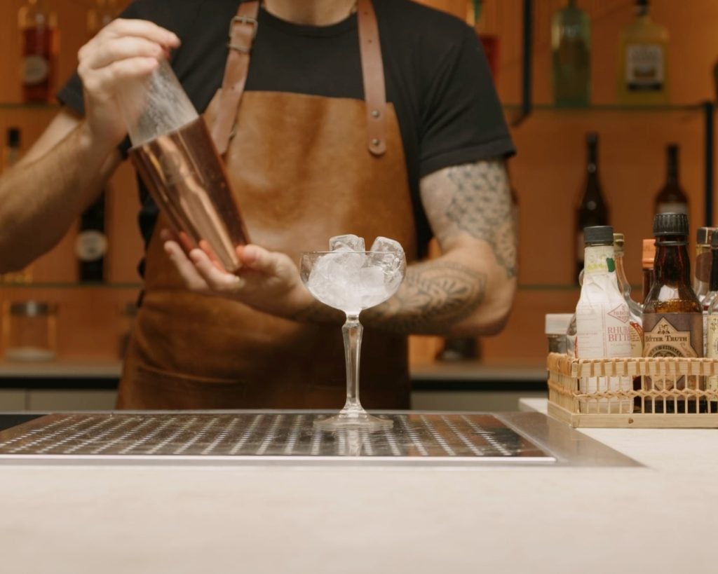 How to Shake a Cocktail: The Art Behind the Shake (Video!)