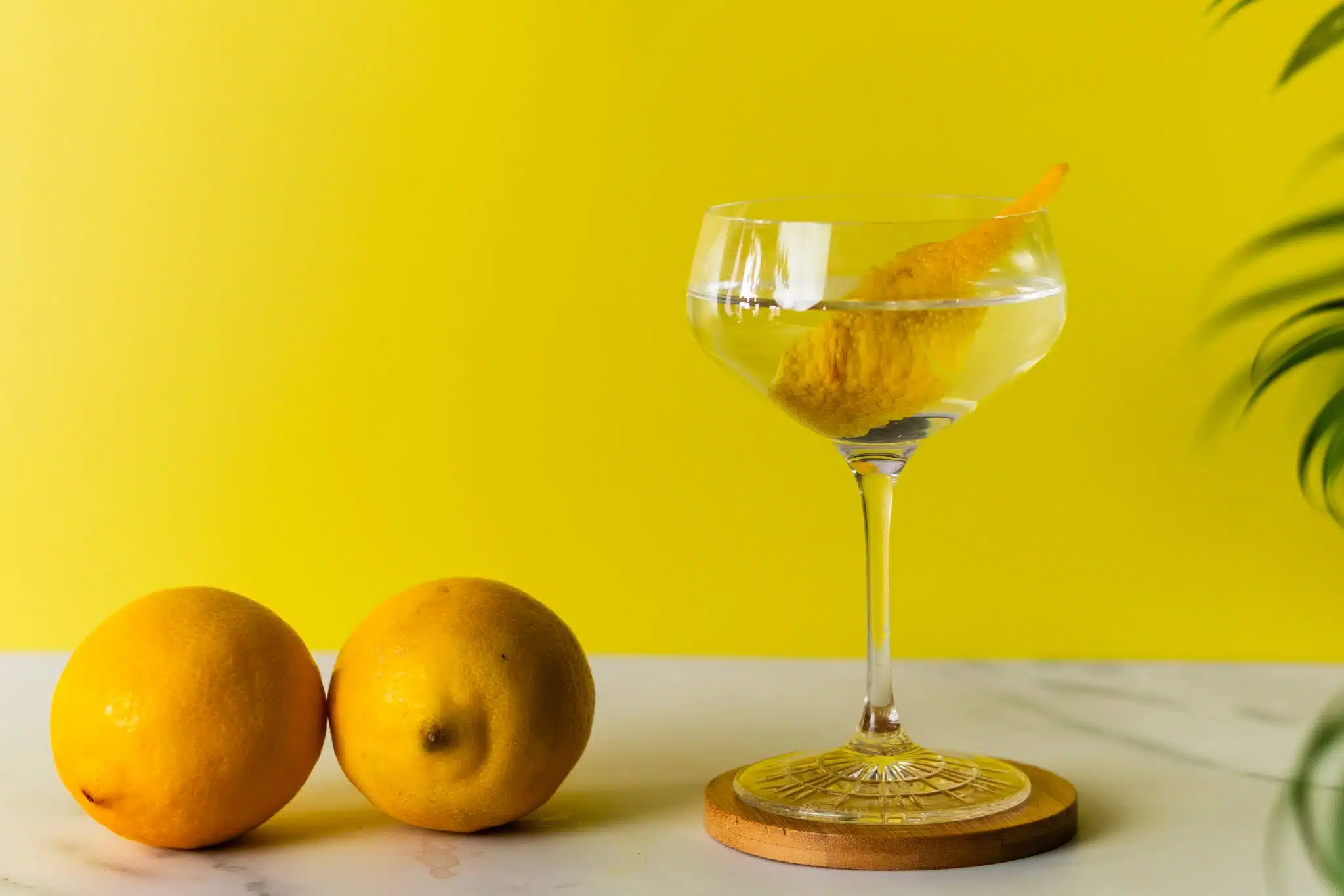 Dry Martini Cocktail Recipe by DrinksWorld