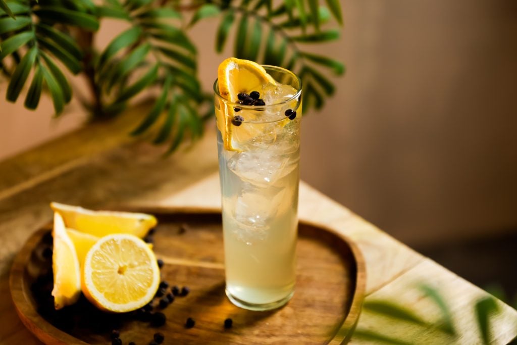 Genever Collins Cocktail Recipe by DrinksWorld