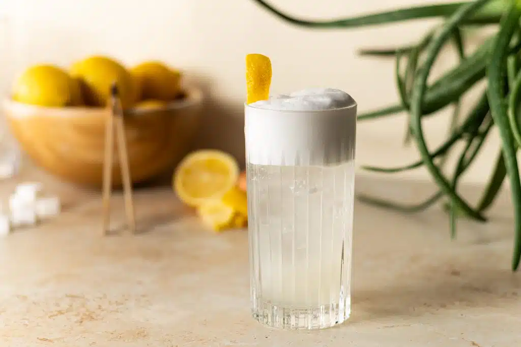 Gin Fizz Cocktail Recipe by DrinksWorld