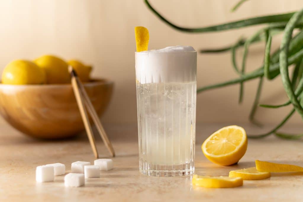 Fizz cocktails – Refreshing & Simple Recipes