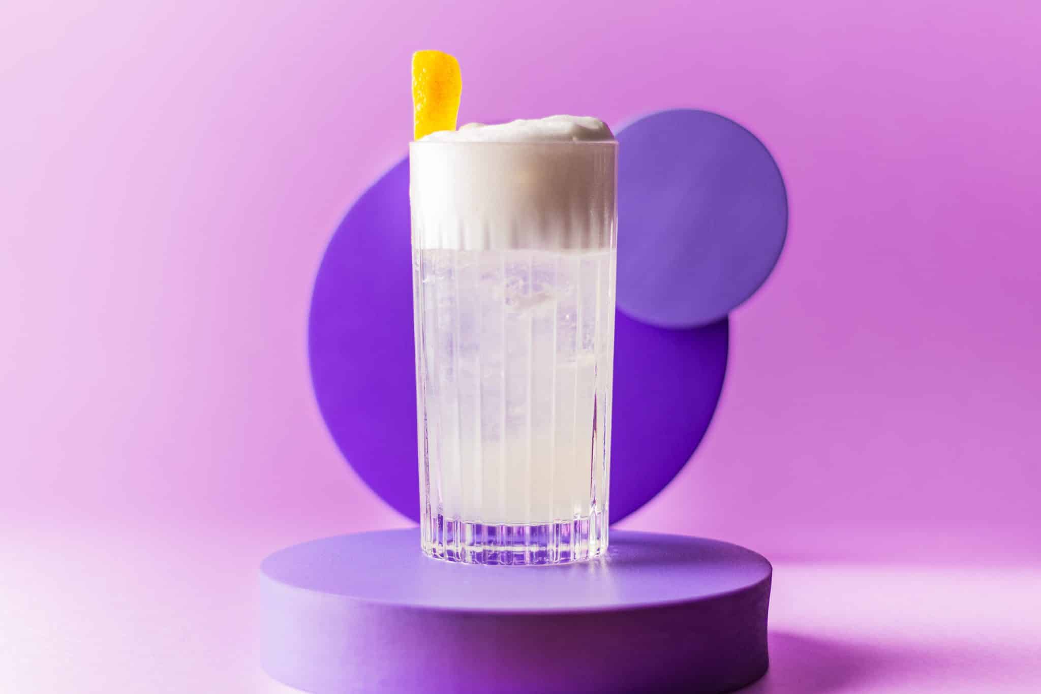 Gin Fizz Cocktail Recipe by DrinksWorld