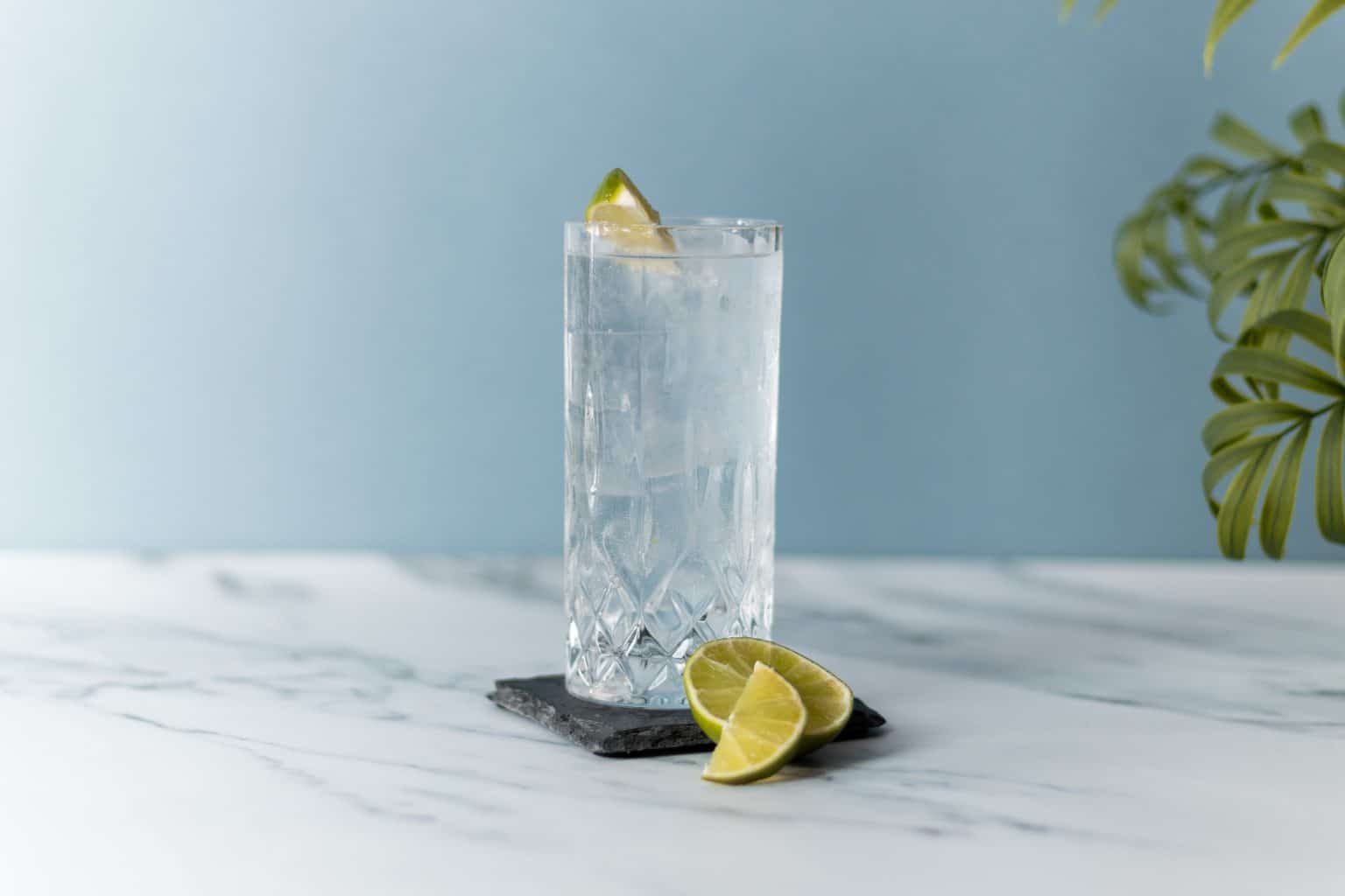45 Highball Cocktails and Drinks to Make in Your Home Bar - DrinksWorld