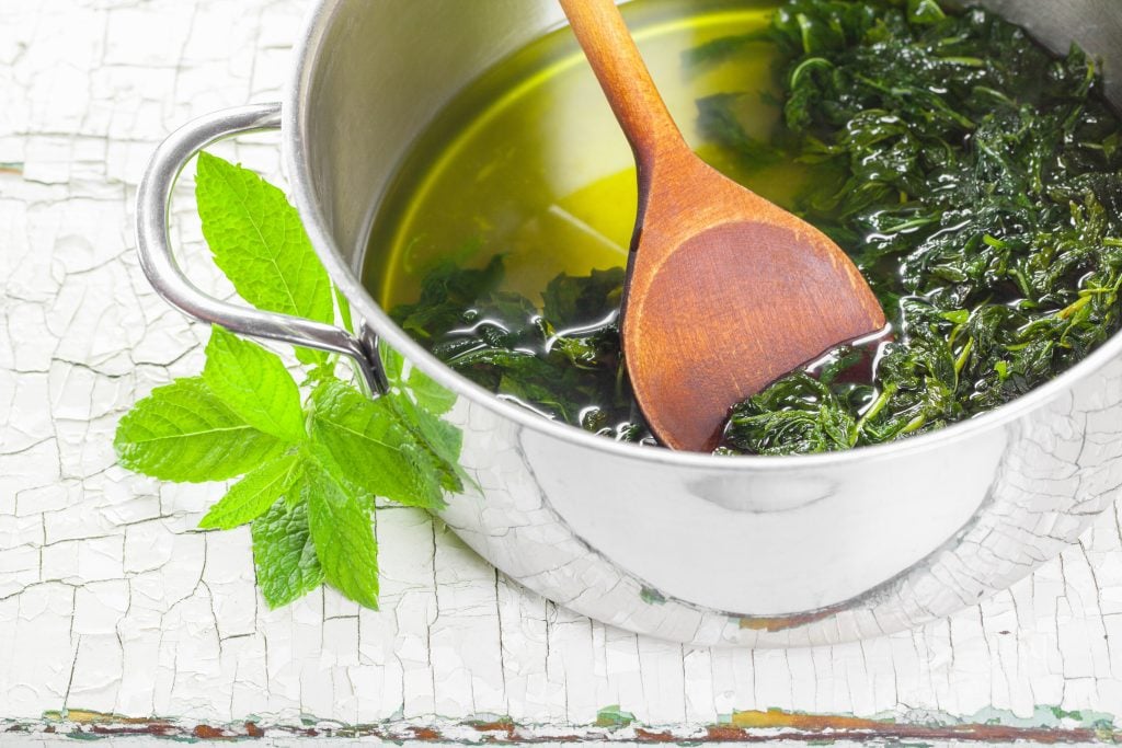 10 Best Cocktails with Mint