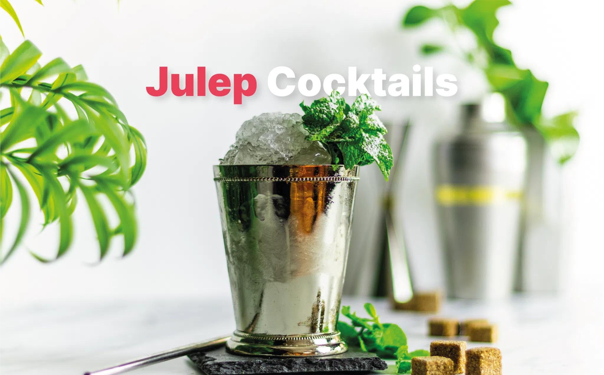 Mint Julep