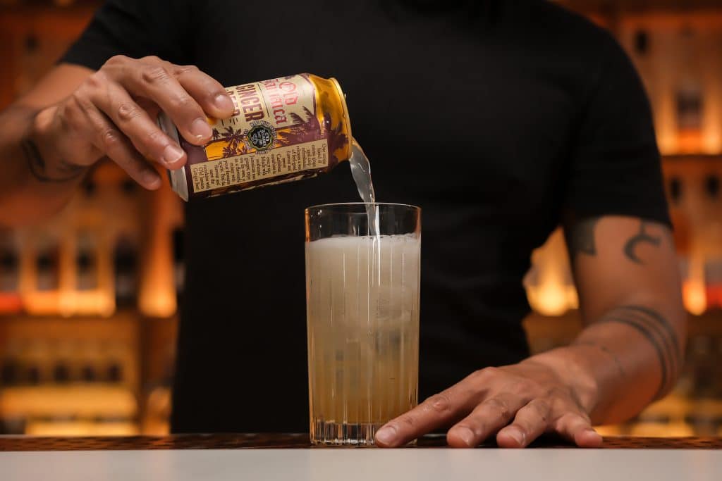 What to Mix with Whiskey? 10 Good Whiskey Mixers