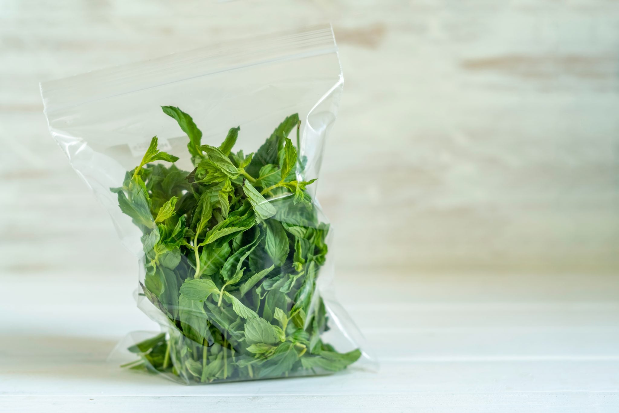 Best Ways to Store Mint to Keep It Fresh