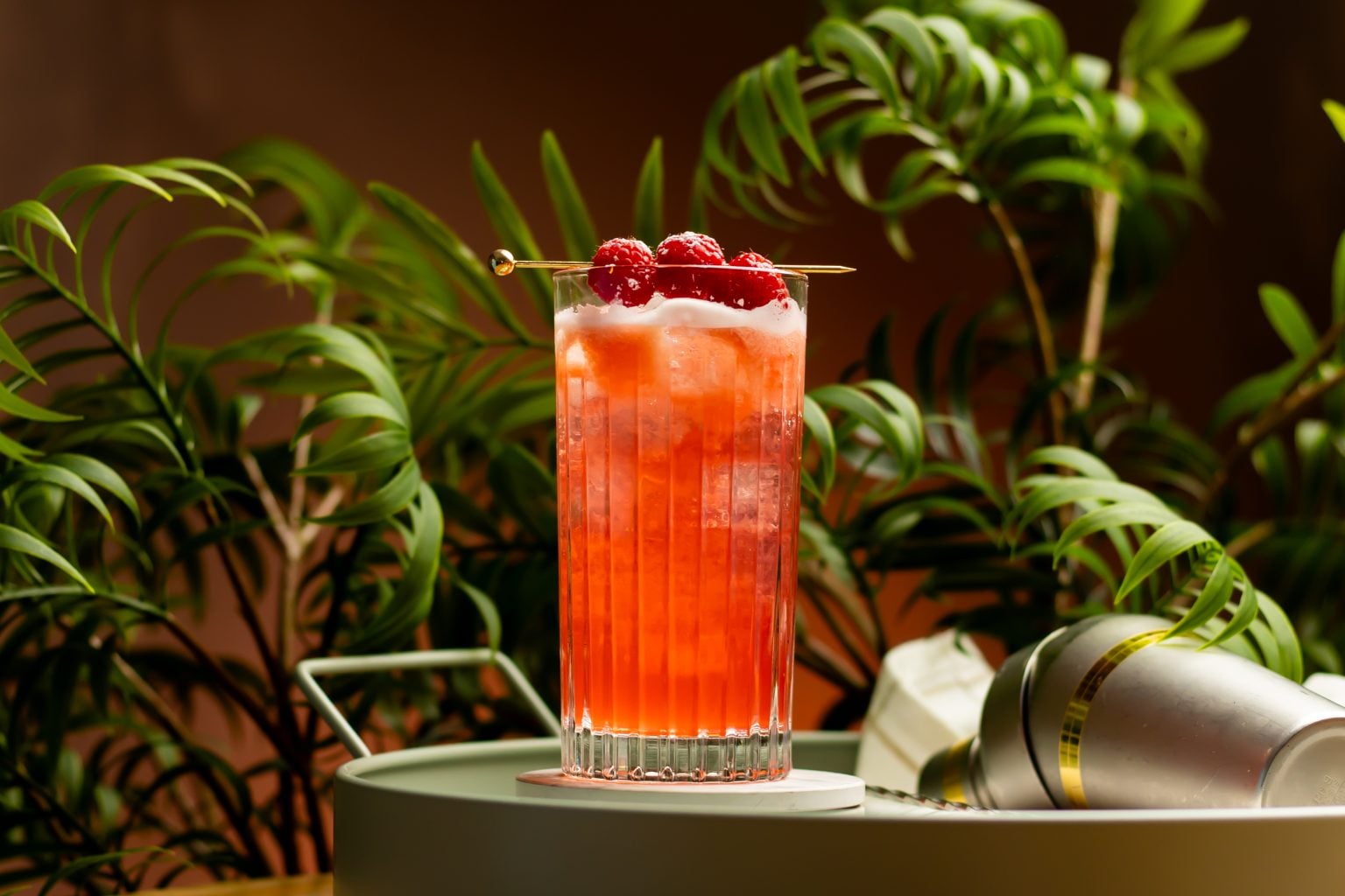 23 Collins Cocktails and Recipes to Know - DrinksWorld