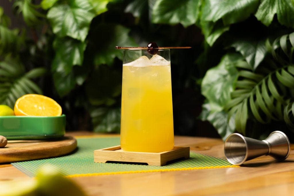 Rum Punch Cocktail Recipe by DrinksWorld