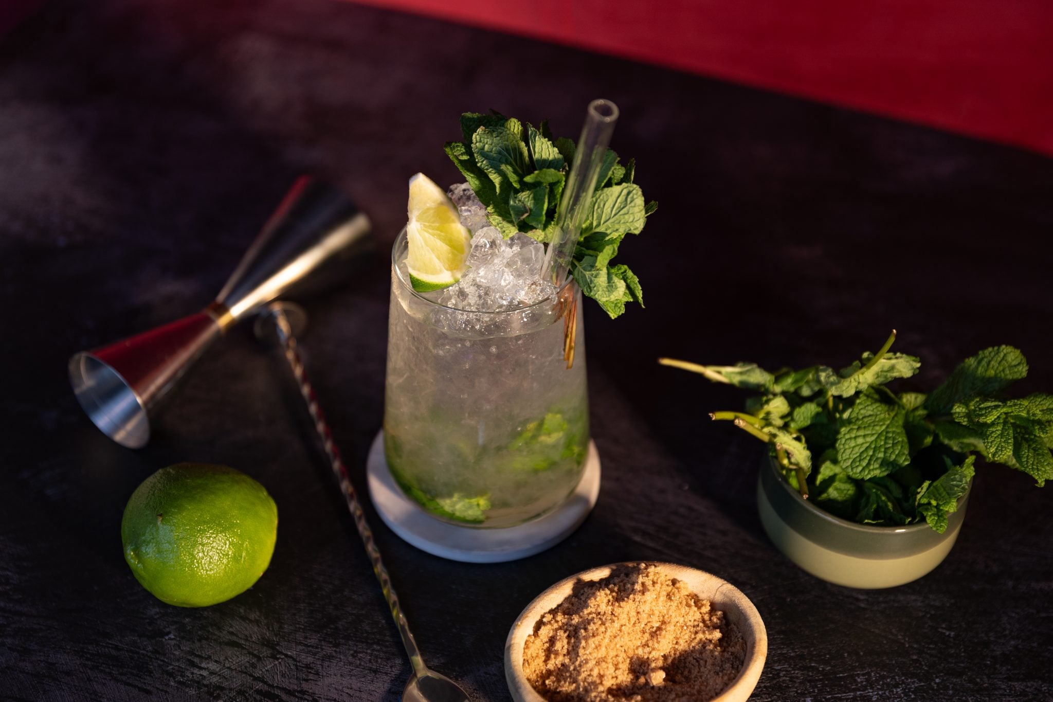 15 Mojito Variations – Types of Mojito and Recipes