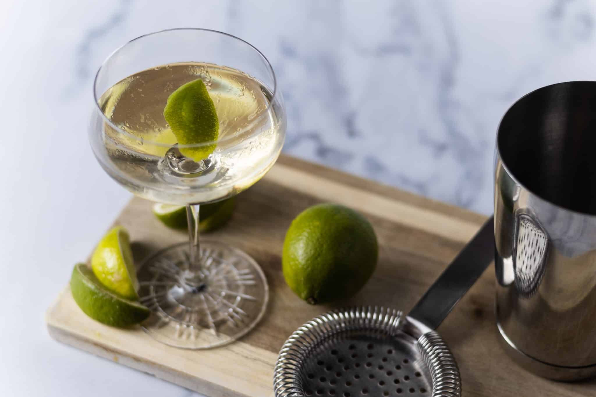 Vodka Gimlet Cocktail Recipe by DrinksWorld