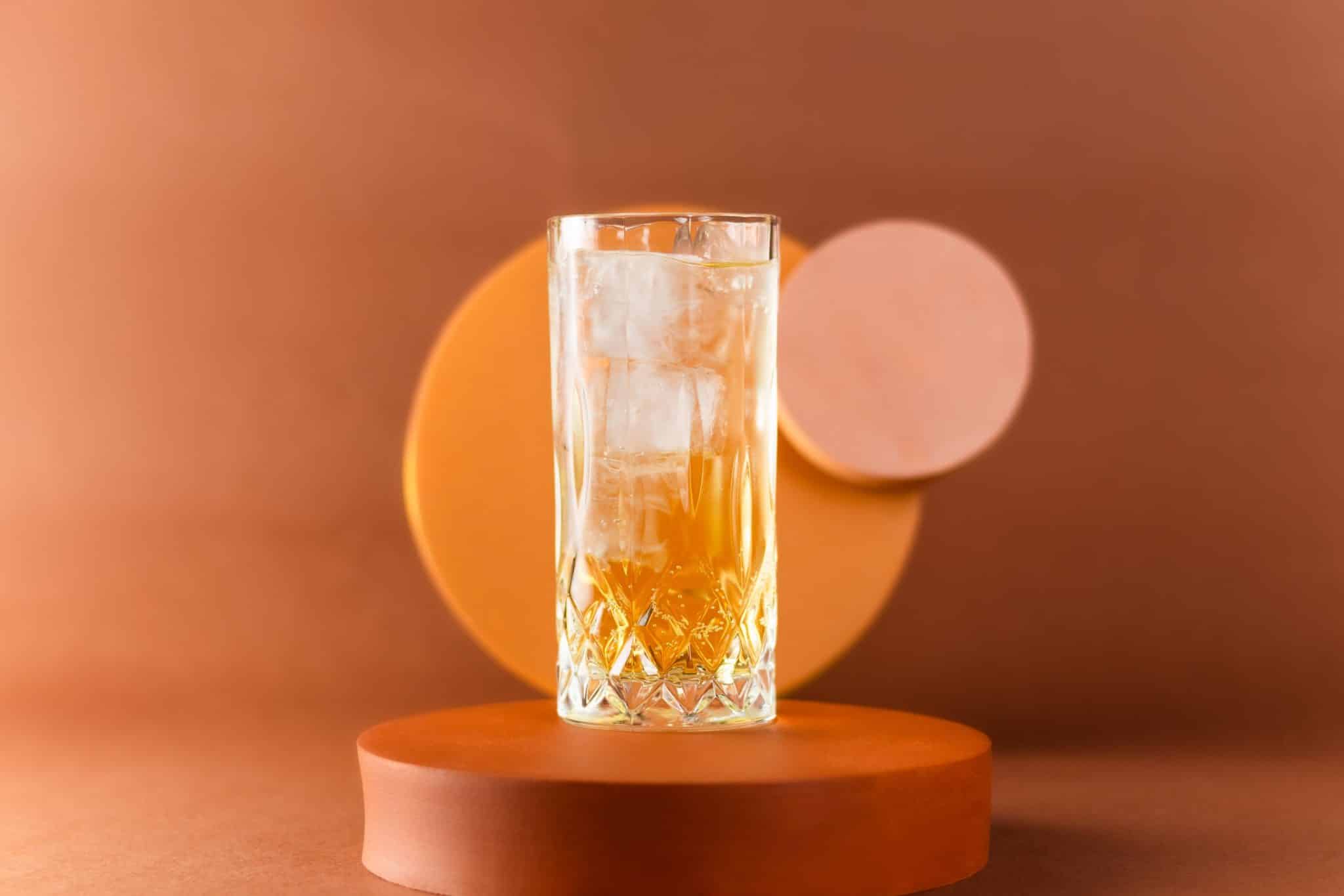 Whiskey Highball Recipe by DrinksWorld