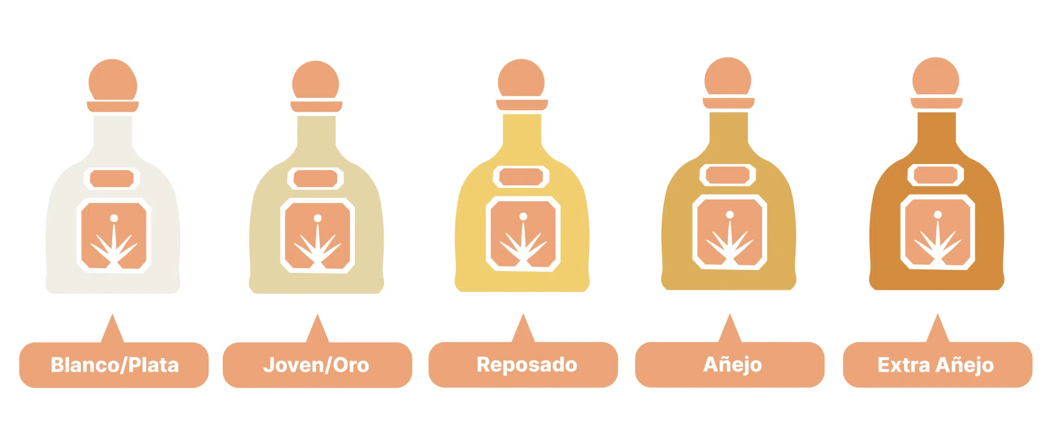 5 Types of Tequila and Brands – Blanco, Reposado, Añejo & More